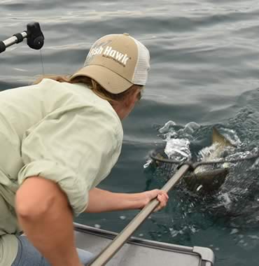 Salmon Fishing: Determine Fishing Speed and Water Temperature with Fish ...